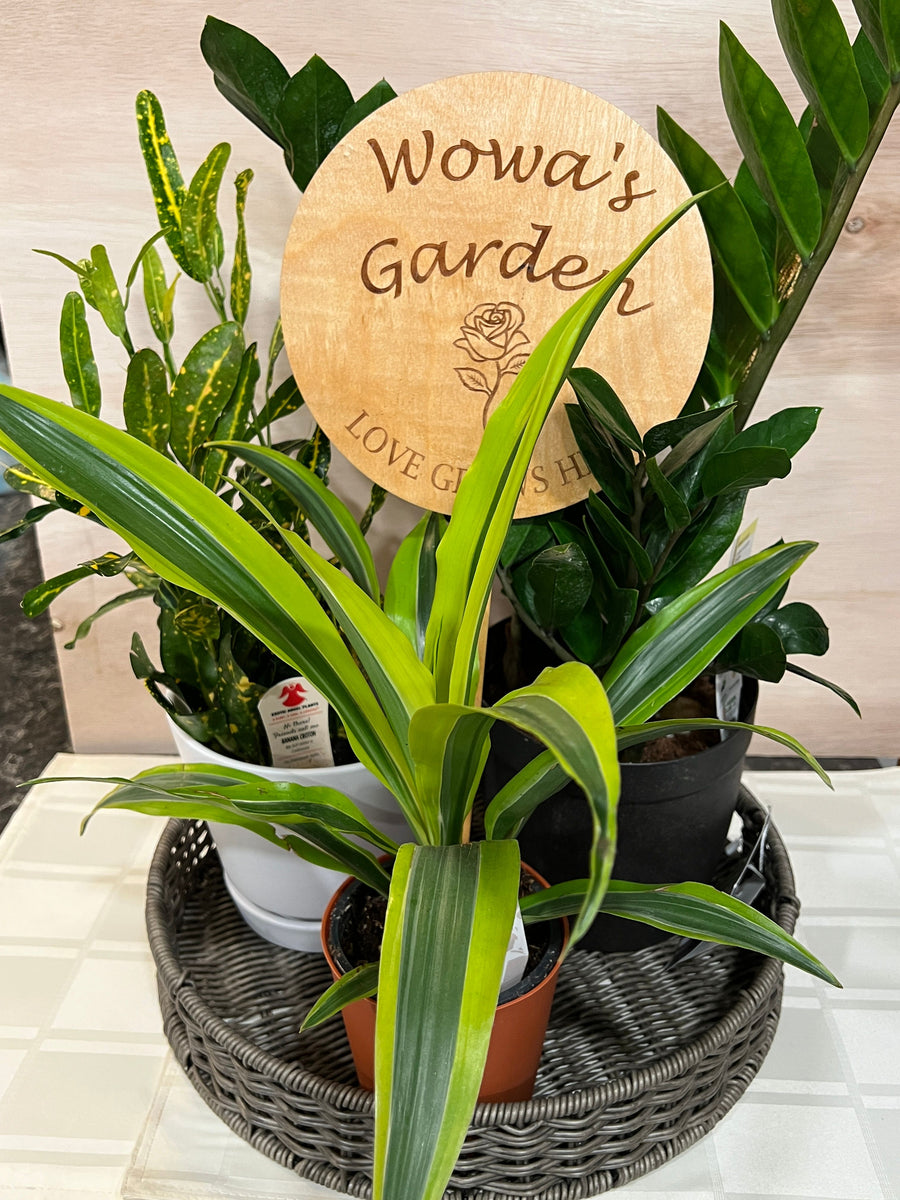 Planter Stick with Rose – LoveYourName